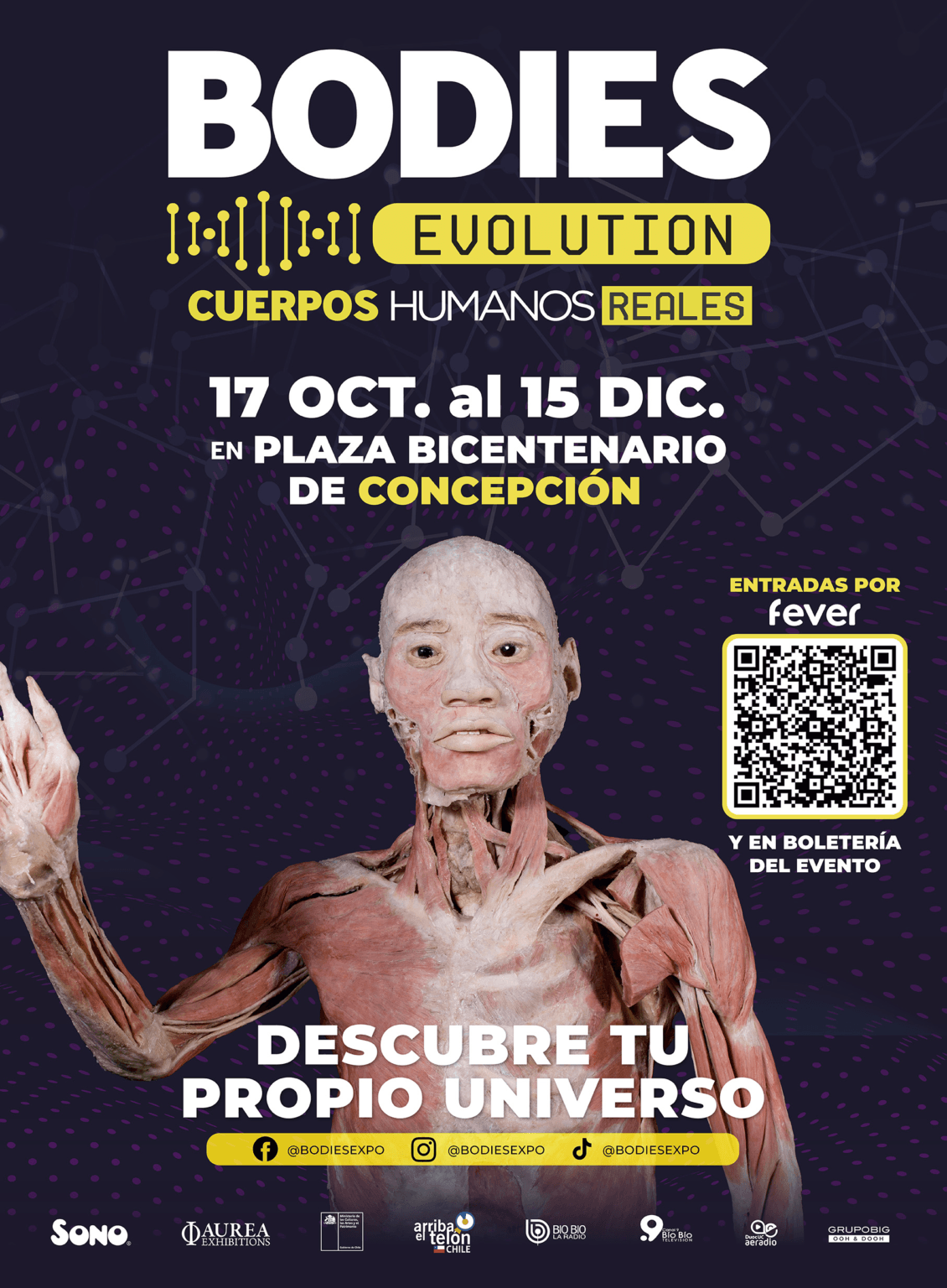 Bodies Evolution en Concepción: Todo lo que tienes que saber