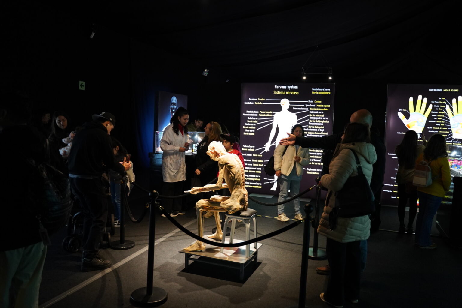 Bodies Evolution en Concepción: Todo lo que tienes que saber